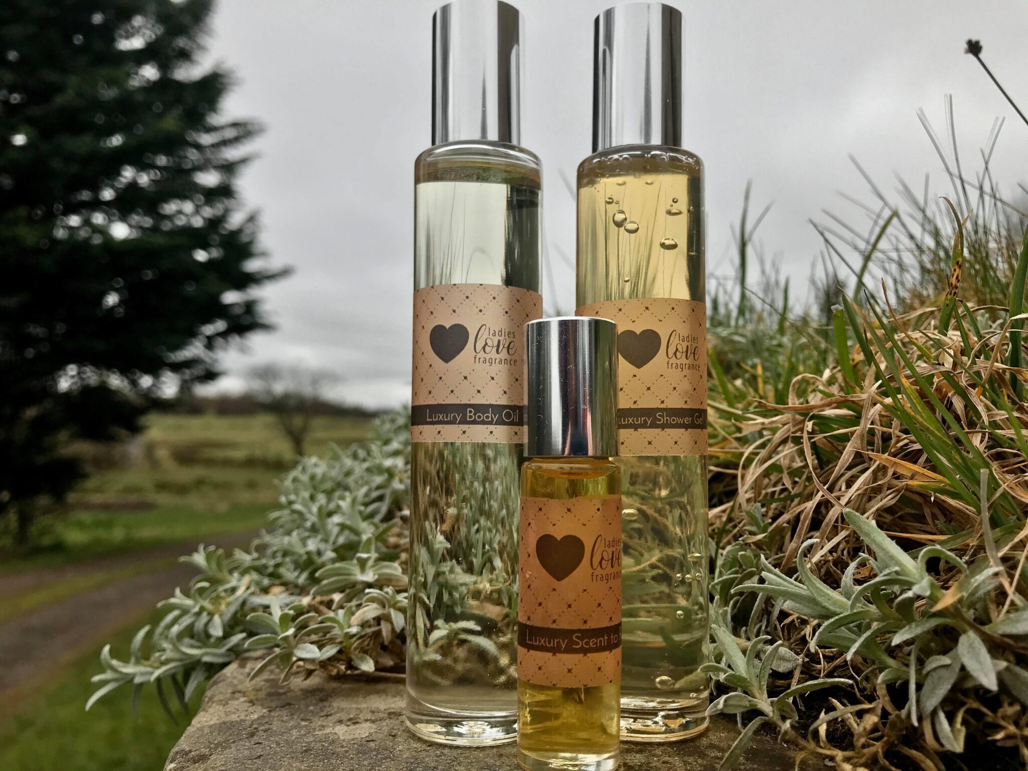 Artisan Aromatherapy Refill Luxury Shower Gel & Body Oil Gift Set ...